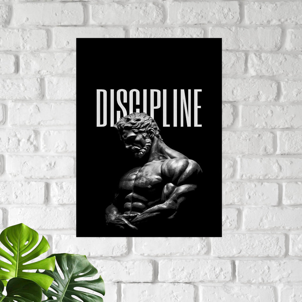 Discipline Poster – Oye Aalsi
